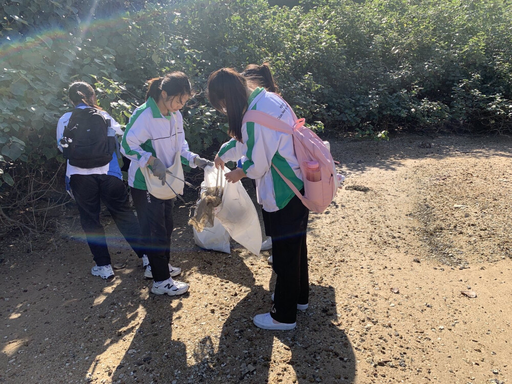 Schools Go Green : Student Environmental Protection Ambassador